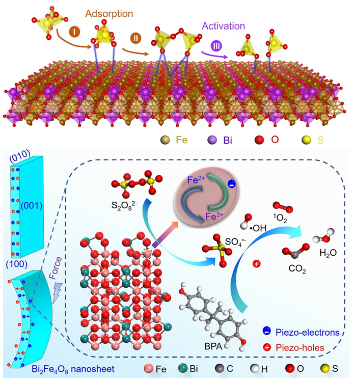 哈工大深圳李朝林团队ACB：压电促进Bi2Fe4O9纳米片活性位点（Fe2+）再生强化过硫酸盐活化
